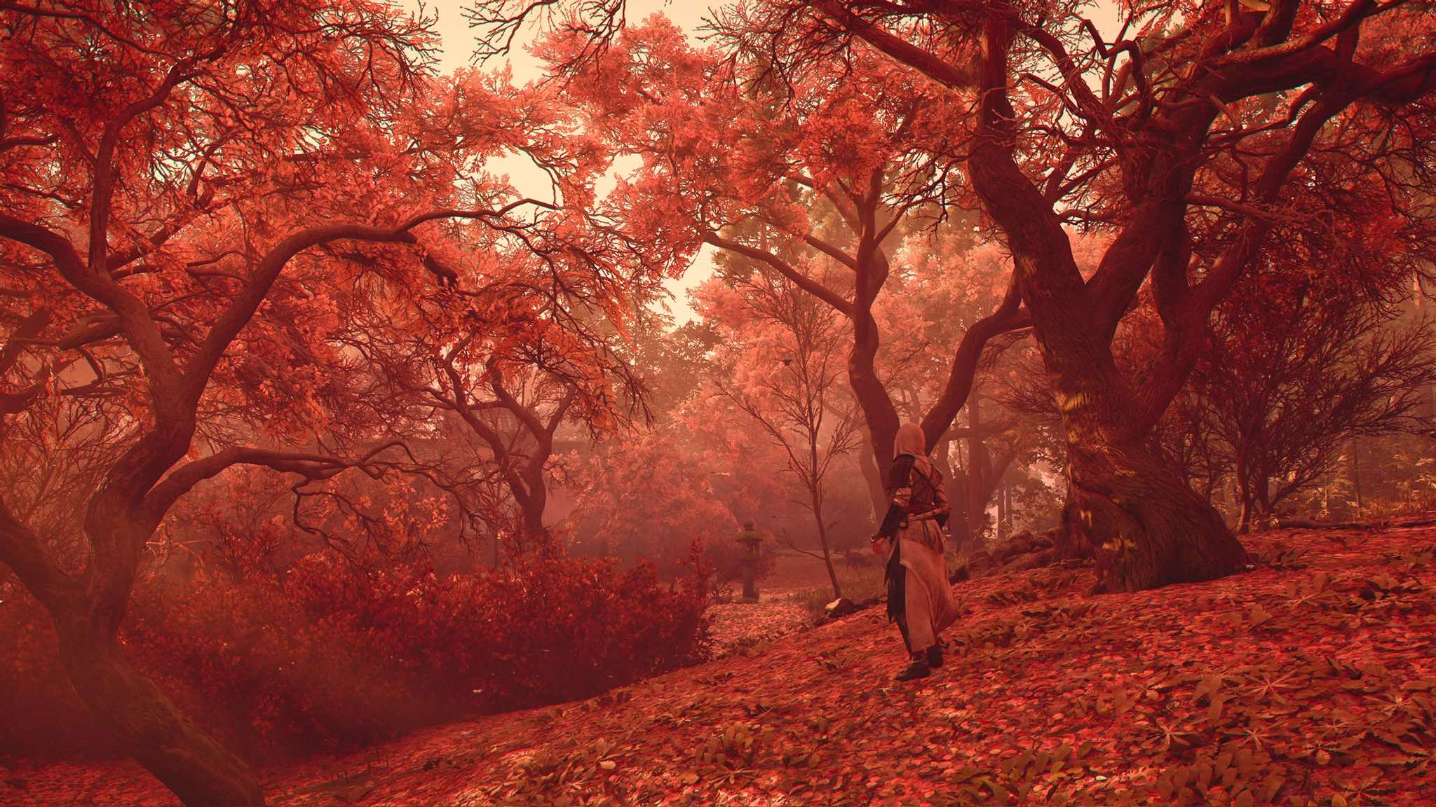 Review : Assassin's Creed Shadows : Ghost in the Shell : Seasoned Gaming